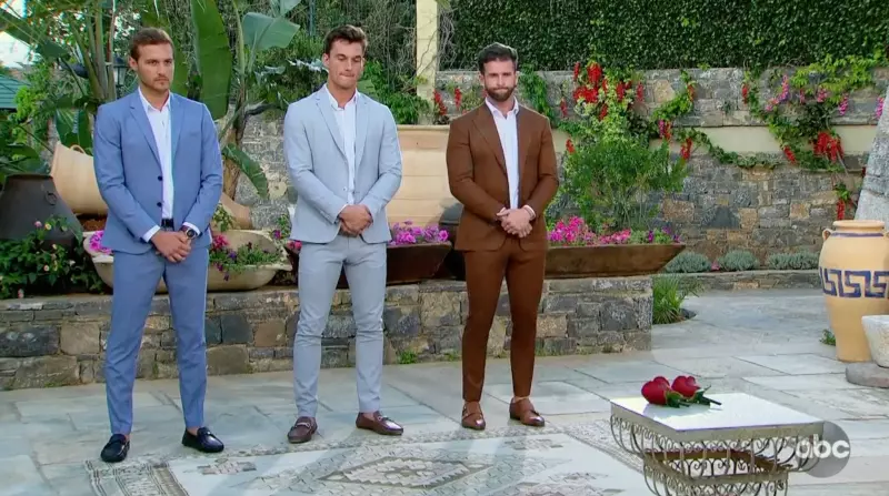 Peter weber Tyler Cameron Jed Wyatt Bachelorette Finale Rose Ceremony