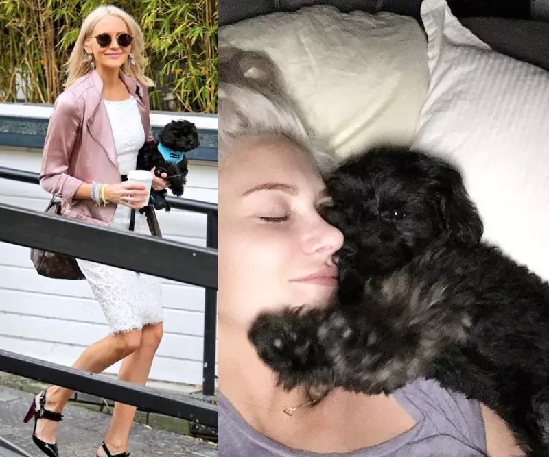 Stephanie pratt dog